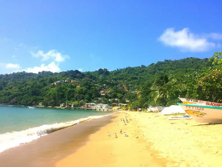 19 Amazing Things to do in Tobago that you cannot miss! - Past The Potholes