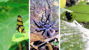 Ecuador Amazon Rainforest Tours: Our Personal Experience (and tips ...